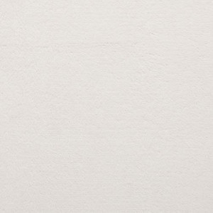 Trend Lab Northwoods Framed Soft Fleece Receiving Blanket, Moose Applique, 30x40 Inch (Pack of 1)