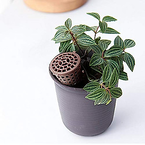 ISKYBOB 100 Pieces Brown Plastic Fertilizer Mesh Basket with Lid Planting Food Net Pot Garden Nutrition Cups for Succulent, Orchid, Bonsai, S+L