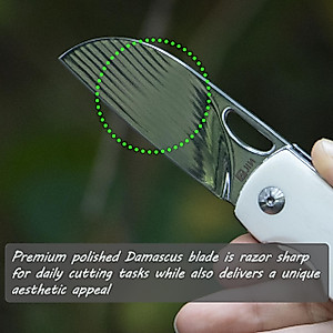 JIN Vaquero Pocket Knife for Men, 2.75" Polished Damascus Blade Folding EDC Knife Bone Handle DIY Knife Making Kit Christmas Gift Ideas Damascus Pocket Knife