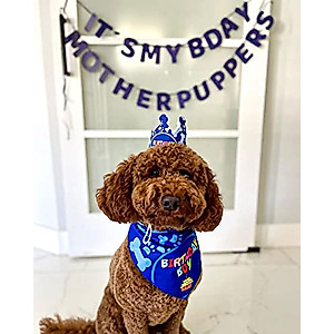 Odi Style Dog Birthday Party Supplies - Dog Birthday Bandana Set - Birthday Boy Bandana for Medium, Large Dogs, Party Hat, Crown and Cute Dog Birthday Banner with It's My Birthday Mother Puppers Sign