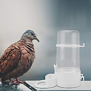 balacoo 2Pcs Automatic Bird Feeder Bird Water Bottle Poultry Drinker Water Jug Container Food Dispenser for Chickens Birds Pigeon Quail White