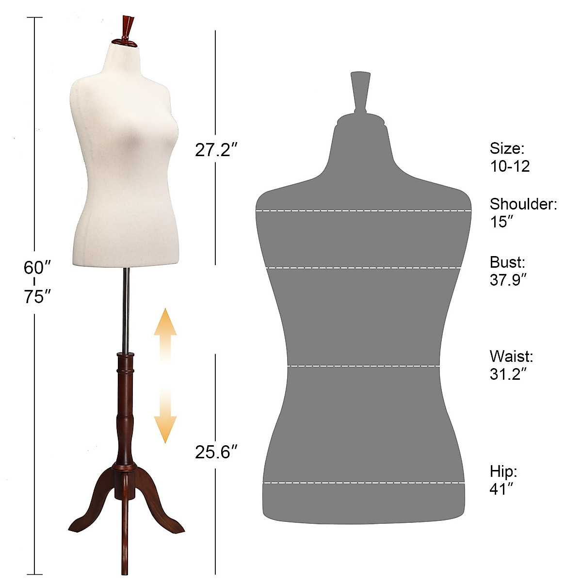 Bonnlo Female Dress Form Size 10-12, Adjustable Height Torso Body with Upgraded Tripod Stand, Medium Size Mannequin for sewing and display (10-12, Cream1)