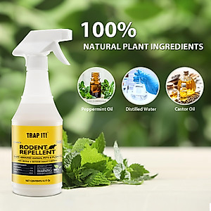 TRAP IT! Peppermint Oil Spray for Rodents, 16OZ Natural Mice Repellent Indoor to Repel Mice & Rats Pet Family Safe, Powerful Mouse Repellent for Car Engines RV Campers Trucks Boats Pest Control