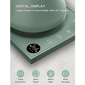 Electric Kettle, Offacy Gooseneck Kettle with Temperature Control, Pour Over Kettle & Coffee Kettle, 100% Food Grade 304 Stainless Steel, Tea Kettle 1200 Watt Quick Heating, 0.9L, Light Green