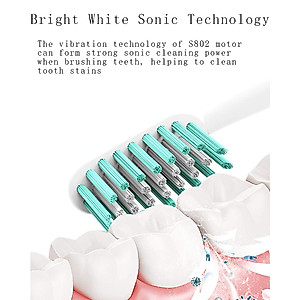 HKF HO KI HO Sonic Electric Toothbrush,USB Rechargeable Toothbrush with Minimum 40 Days Use,2 Mins Smart Timer and 5 Optional Modes,4 Brush Heads(White)