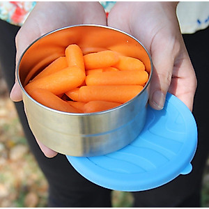 Ecolunchbox Stainless Steel Leak-Proof Seal Cup Food Storage Container Medium