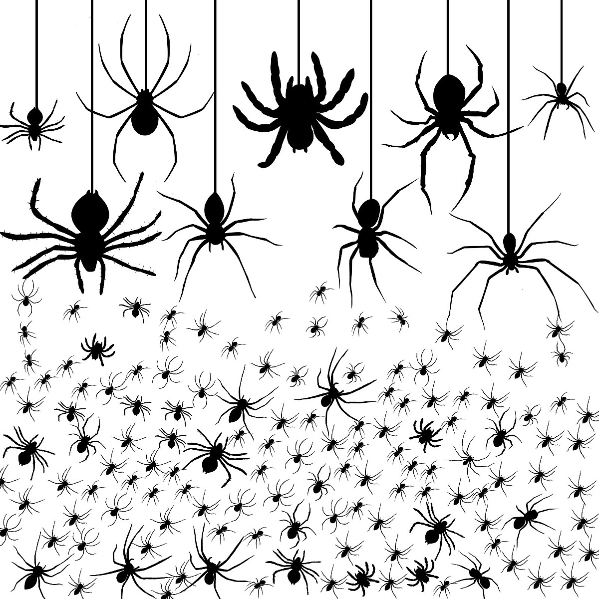 Thenshop 209 Pieces/4 Sheets Halloween Spider Stickers Large Spider Stickers Spider Style Wall Decal Removable Scary Spider Stickers Halloween Wall Clings for Halloween Party Wall Home Room Decors