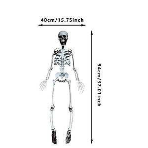 36” Halloween Skeleton Full Body Life Like Skeleton Model with Movable Joints for Halloween Decoration
