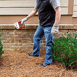 Amdro 100099307 Block Home Perimeter Ant Bait Granules, 12 Ounces