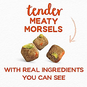 Purina Beneful Dry Dog Food, Simple Goodness With Farm Raised Chicken - 32 ct. Box