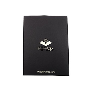 PopLife Black Pirate Ship Pop Up Card for All Occasions - Happy Birthday, Graduation, Congratulations, Retirement, Anniversary, Fathers Day - Treasure Hunters, Ocean Lovers - Folds Flat for Mailing