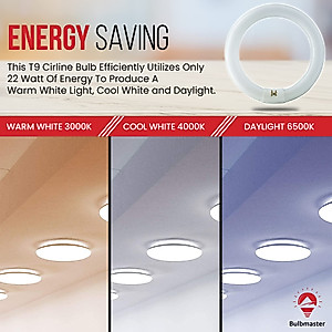 Bulbmaster FC12T9/CW 32 Watts 12 Inch Round T9 Fluorescent Circular Light Bulb, Cool White 4100K, FC12T9 1930 Lumens G10Q 4-Pin Base 32W Circline Ceiling Lights