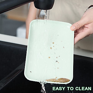 Roucerlin 4 Pack Unbreakable Wheat Straw Plates, Durable Lightweight Cake Plate, Small Reusable Snack Plate for Fruits, Pasta, Salad, Dessert, Dishes, Sushi (8.3in, Green)