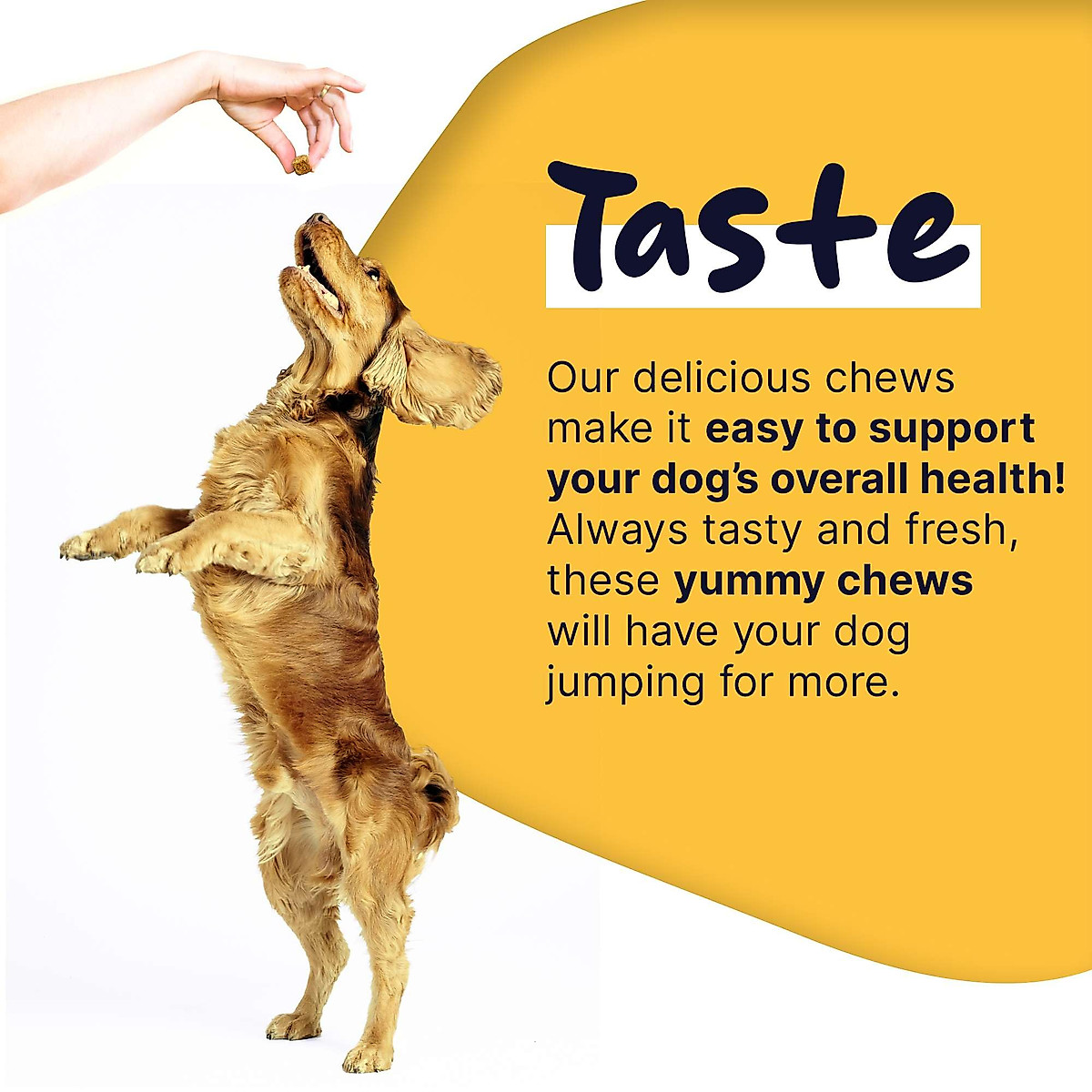 Dog Multivitamin Supplement - 120 Soft Chew Dog Vitamins and Supplements with Omega, Probiotics, Glucosamine, and More - for Small, Large, and Senior Dogs