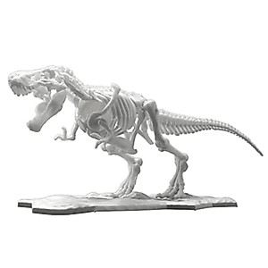 Bandai Hobby - Tyrannosaurus, Bandai Spirits Hobby Dinosaur Model Kit Limex Skeleton