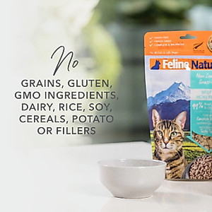Feline Natural Grain-Free Freeze-Dried Cat Food, Beef 11oz