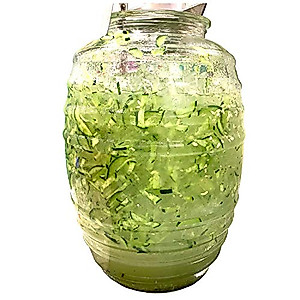 Made In Mexico Vitrolero Aguas Frescas Tapadera Water Jug Juice Beverage Container With Lid & 16oz Ladle Combo, 5-Gallon 20L - Clear, Party Fiesta Catering - BPA Free Food Grade Plastic