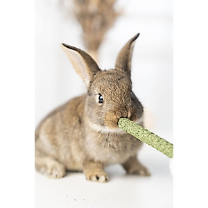 DAMPET Natural Timothy Hay Sticks, Natural Apple Sticks, Timothy Molar Rod for Small Animals, Rabbits Hamsters Guinea Pigs Gerbils Groundhog Squirrels(20pcs) (Timothy)