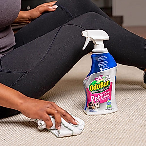 OdoBan Pet Solutions Oxy Stain Remover, Pet Stain Eliminator, 32 Ounce Spray