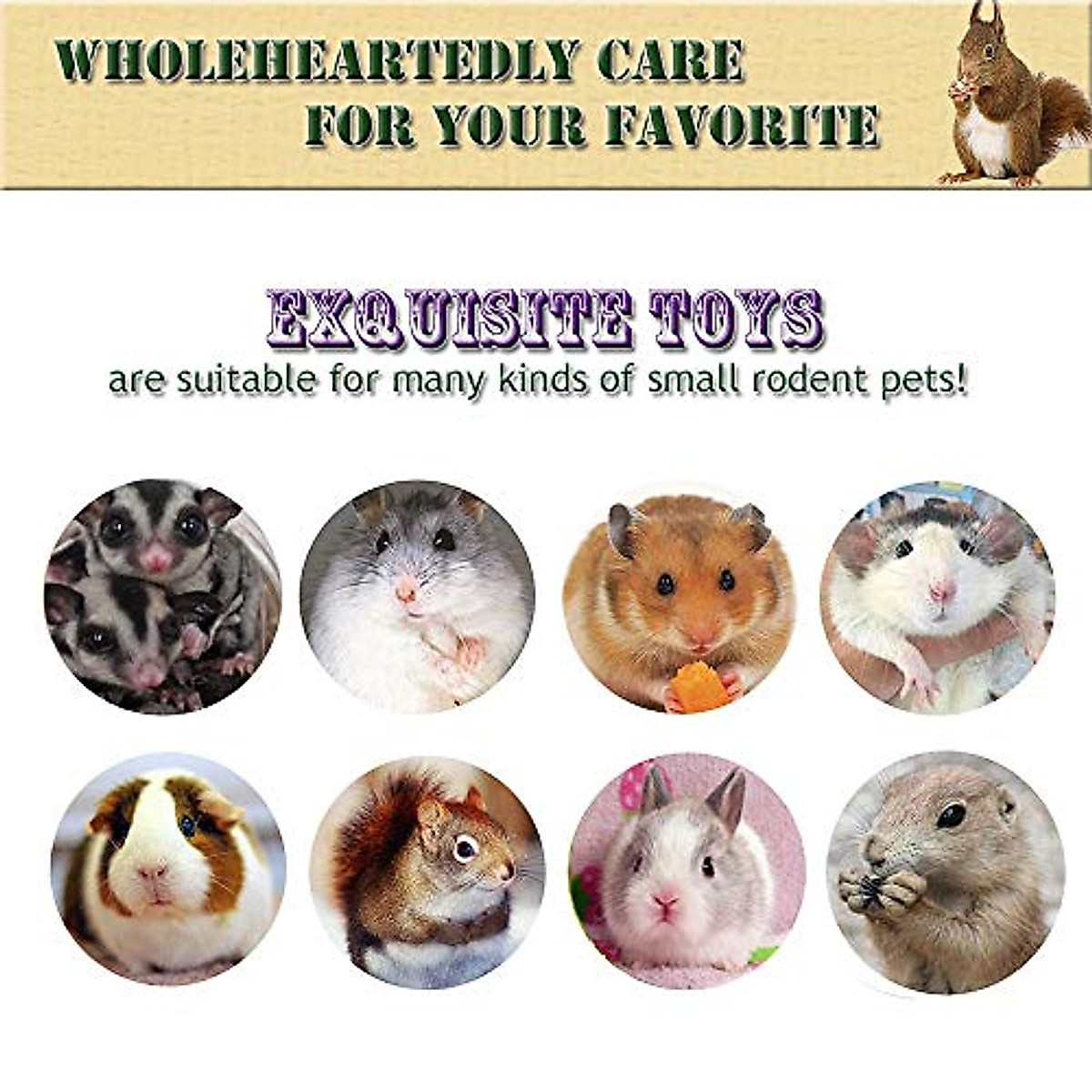10 Pack Small Animal Combo Apple Wood Activity Toys, Hamsters Chew Toys, Rat Chinchilla Snacks Toys for Pets Organic Natural Accessories