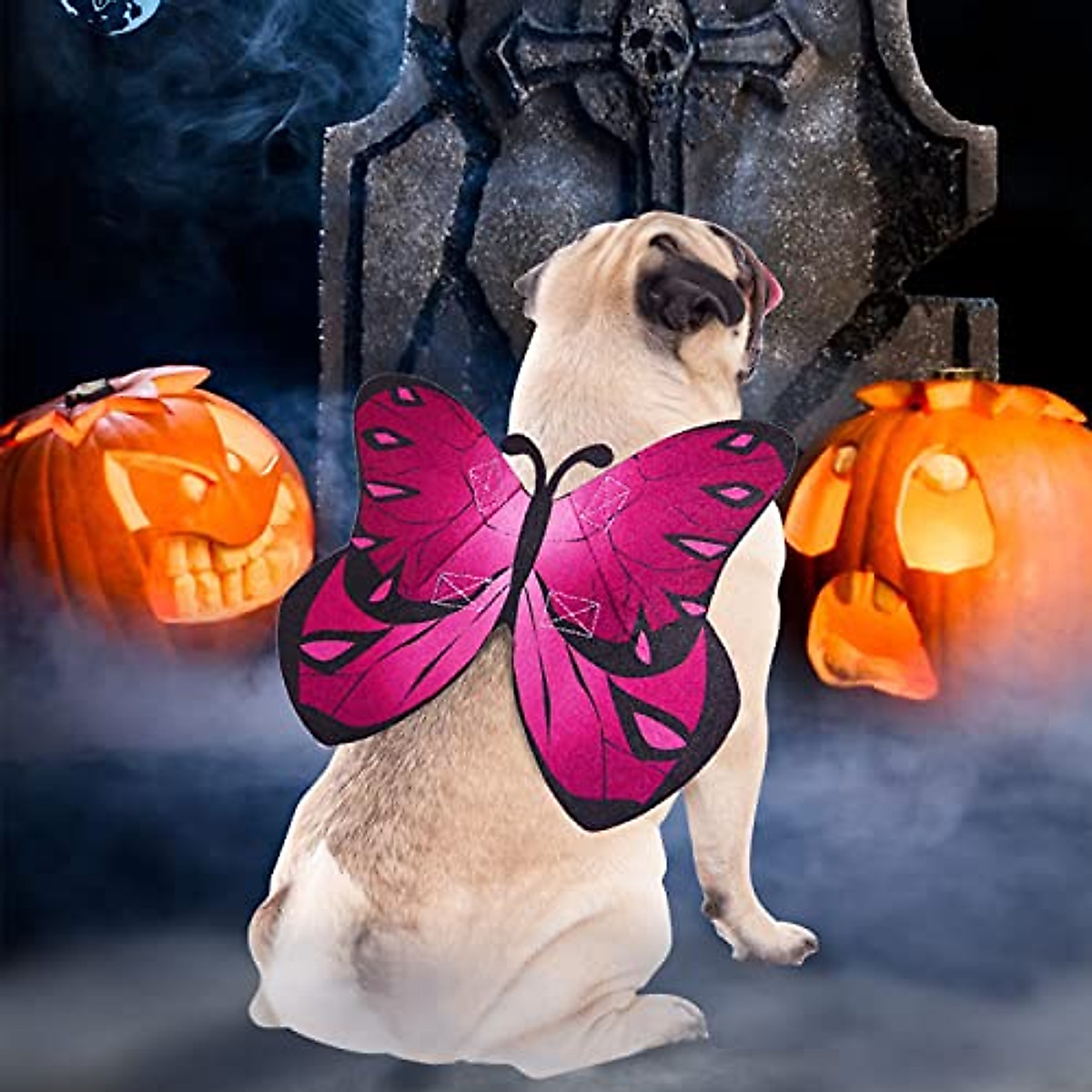 Butterfly Wings for Dogs Halloween Costumes for Dogs, Dog Cat Butterfly Wings Butterfly Dog Costume for Halloween Christmas, Butterfly Wings for Cat Dog Wings for Small Medium Large Dogs