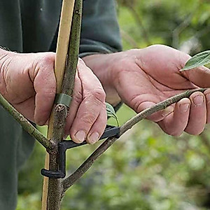 CLISPEED 20 Pcs Branch Press Valve Stem Tool Tree Branch Spreaders Tree Limb Spreader Plants Branch Trainer Branches Fixing Tool Branches Trainers Gardening Twig Clips Adjustable Bracket or