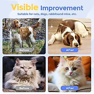 PUPMATE Pet Cleaning Glove Wipes for Dogs & Cats, Hypoallergenic Deodorizing Disposable No-Rinse Grooming Wipes, Extra Thick Bathing Wipes,Perfect for Pet Dry Cleaning,Daily Care and Travel,6 pcs