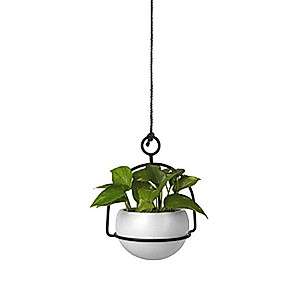 Umbra 1009251-748 Nesta, Table Top or Hanging Modern Planter, Ideal Succulent Plant Holder, White/Black,Single Planter