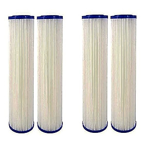 CFS COMPLETE FILTRATION SERVICES EST.2006 Replacement 0.35 Sub-micron Post-Filter for Whole House Water Filter Systems