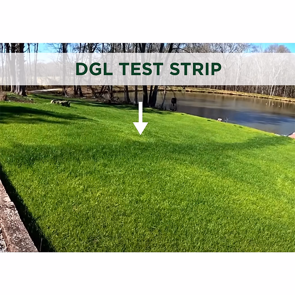 The Andersons Professional DGL Dark Green Lawn™ 25-0-0 Fertilizer with Iron - Covers 5,000 sqft. (18lb. Bag)