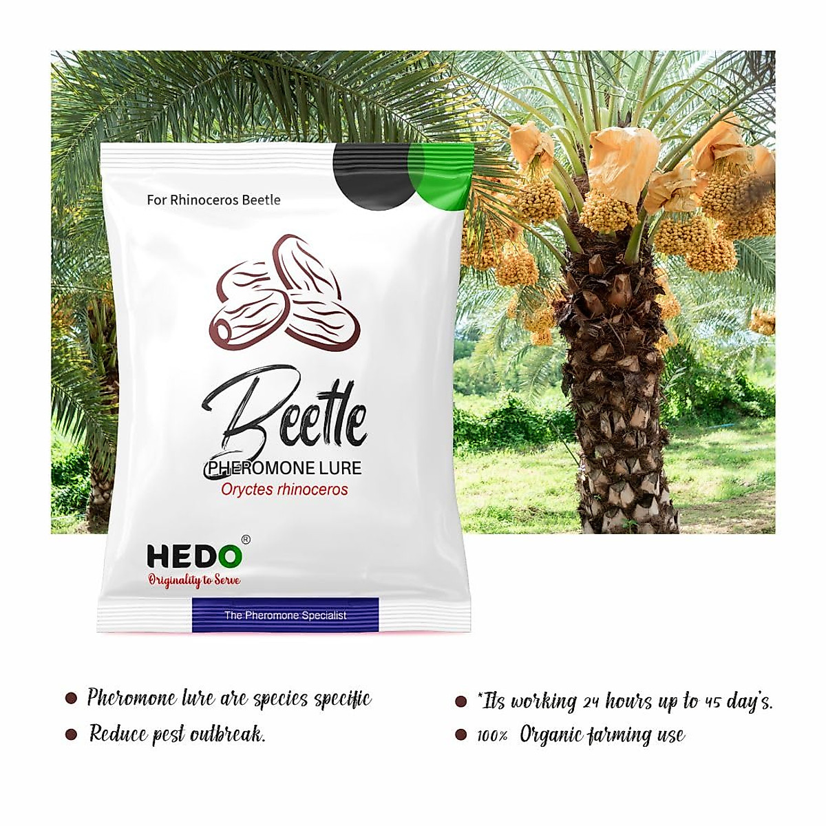 HEDO Beetle Lure Pack of 10| Pheromone Lure for Rhinoceros Beetle (oryctes Rhinoceros) for Coconut & Palm Tree