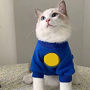 Naroote Pet Cat Shirt, Cute Soft Pet Shirt Clothing Stretch Pullover Short Sleeve for Photo (M)
