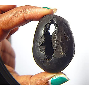 phoenix888 Kurma Laxmi Navnidhi Purnachakra Purnagarbha Shaligram