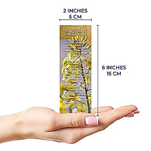 Bible Verse Cards – As a Grain of Mustard Seed – Matthew 17:20 and 13:31-32 – Pack of 25 Bookmark-Size Cards, by eThought,BB-B020-25