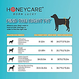 HONEY CARE All Absorb Petrichor Male Dog Wrap, Fresh Smell Disposable Diapers, Extra Small, White, 100 Count