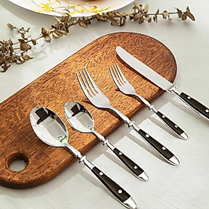 20-Piece Bistro Silverware Set for 4, Everyday Flatware, Black Handles Utensils Set, Retro Stainless Steel Forks and Spoons, Mirror Finished Utensil Sets for Home Restaurant, Dishwasher Safe Cutlery