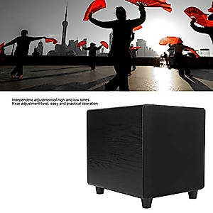 Active Speaker, 10 Inch 100‑240V Flexible High Output Sound Pressure Excellent Transient Powered Subwoofer Powerful for Active Speakers (US Plug)