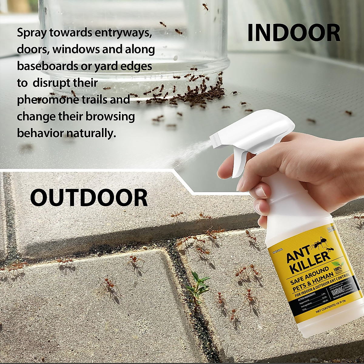 BugBai Peppermint Oil Ant Killer & Repellent Spray Outdoor, 16OZ Natural Ant Spray Indoor Home Kitchen Safe for Pets and Kids, Powerful Carpenter Ant Killer to Kill & Get Rid of Ants Permanently