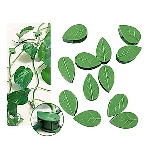 Plant Climbing Wall Fixture Clips 40 Pcs, Garden Vegetable Plant Support Binding Clip Invisible Wall Vines, Self-Adhesive Clips Plant Vine Traction for Indoor Outdoor Decoration