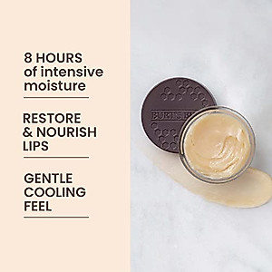 Burt's Bees Lip Care Easter Basket Stuffers, Moisturizing Overnight Intensive Treatment Spring Gift, for All Day Hydration, Ultra Conditioning Moisturizer, 0.25 Ounce (Packaging May Vary)