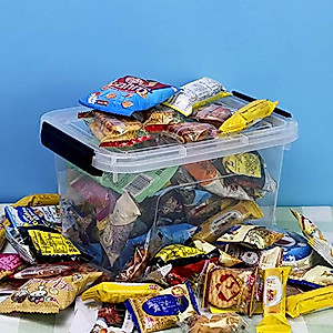 Tstorage 8 Quart Plastic Storage Clear Latch Boxes, Clear Containers with Lids and Handles, 6 Packs