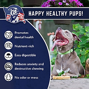 Devil Dog Pet Co Yak Cheese Himalayan Dog Chew - Premium Yak Chew - Heavy Duty All Natural Dog Treat for Teething Puppy and Aggressive Chewers - USA Veteran Owned Business (Large - 1 Pack)