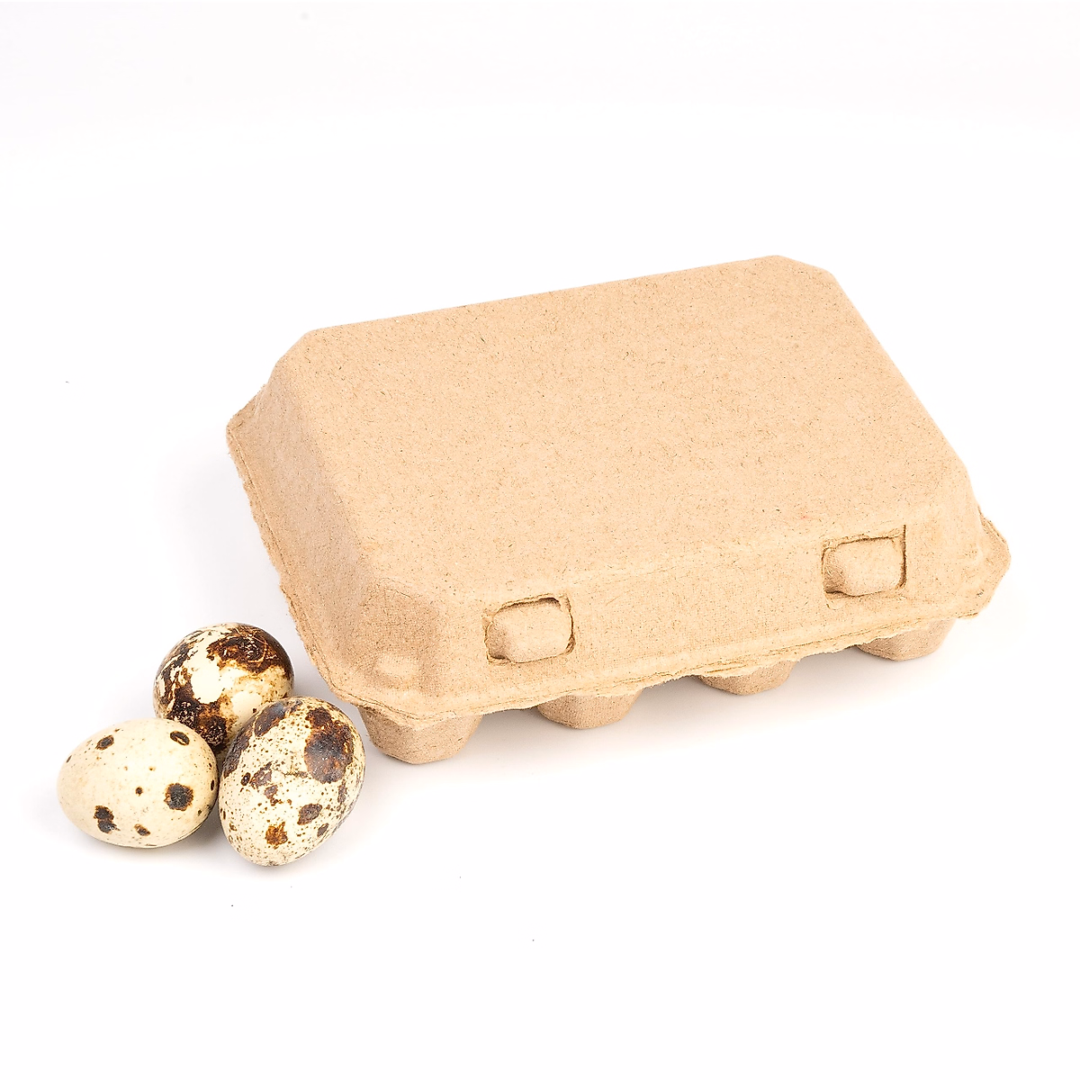 HT SUPPLY Quail Egg Cartons (50 PACK) | Vintage 3x4 Style | Holds 12 Quail Eggs | Eco-Friendly Material | Recycled Pulp