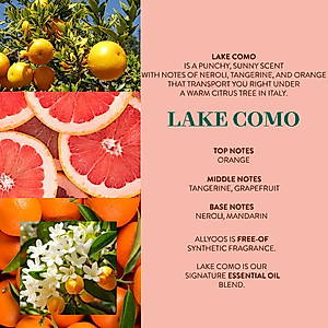 Allyoos A Quick Clean, Hair Rinse, Removes Sweat, Oil & Buildup From Scalp & Hair, No Suds, Dry Shampoo Alternative, Balances Scalp, Sulfate-Free