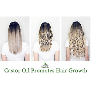 Dr Joe Lab Castor Oil Organic, Cold Pressed Organic Castor Oil, Unrefined, Pure USDA Certified Hexane Free Non GMO - Natural Moisturizing Hydrating Hair Skin Face Body Nails - 32 Oz