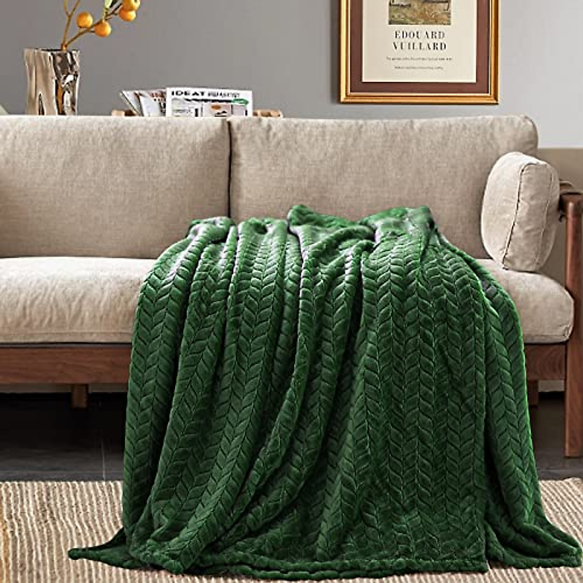 inhand Fleece Throw Blankets, Super Soft Flannel Cozy Blankets for Adults, Washable Lightweight Fuzzy Blanket for Couch Sofa Bed Office, Throw Size Warm Plush Blankets for All Season (50"×60", Green)