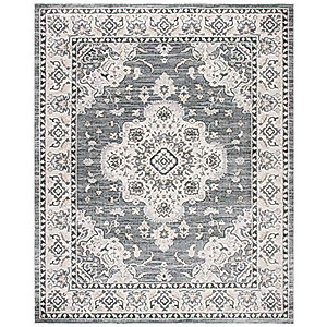 SAFAVIEH Isabella Collection 8' x 10' Grey / Light Grey ISA921F Oriental Non-Shedding Living Room Bedroom Dining Home Office Area Rug