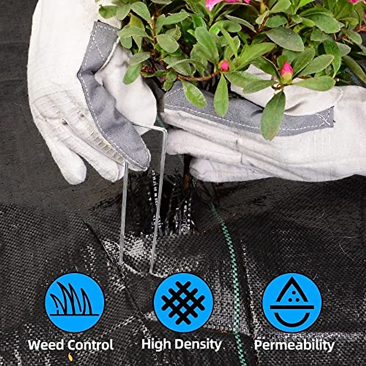LAVEVE 3FT x 50FT Weed Barrier Landscape Fabric, 3.2oz Premium Heavy-Duty Gardening Weed Control Mat, Ground Cover for Gardening, Farming