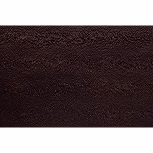 Homelegance Bastrop Double Reclining Sofa (Manual), Brown