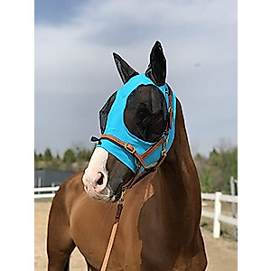 TGW RIDING Horse Fly Mask Super Comfort Horse Fly Mask Elasticity Fly Mask with Ears We Only Make Products That Horses Like (Pacific Blue, L)